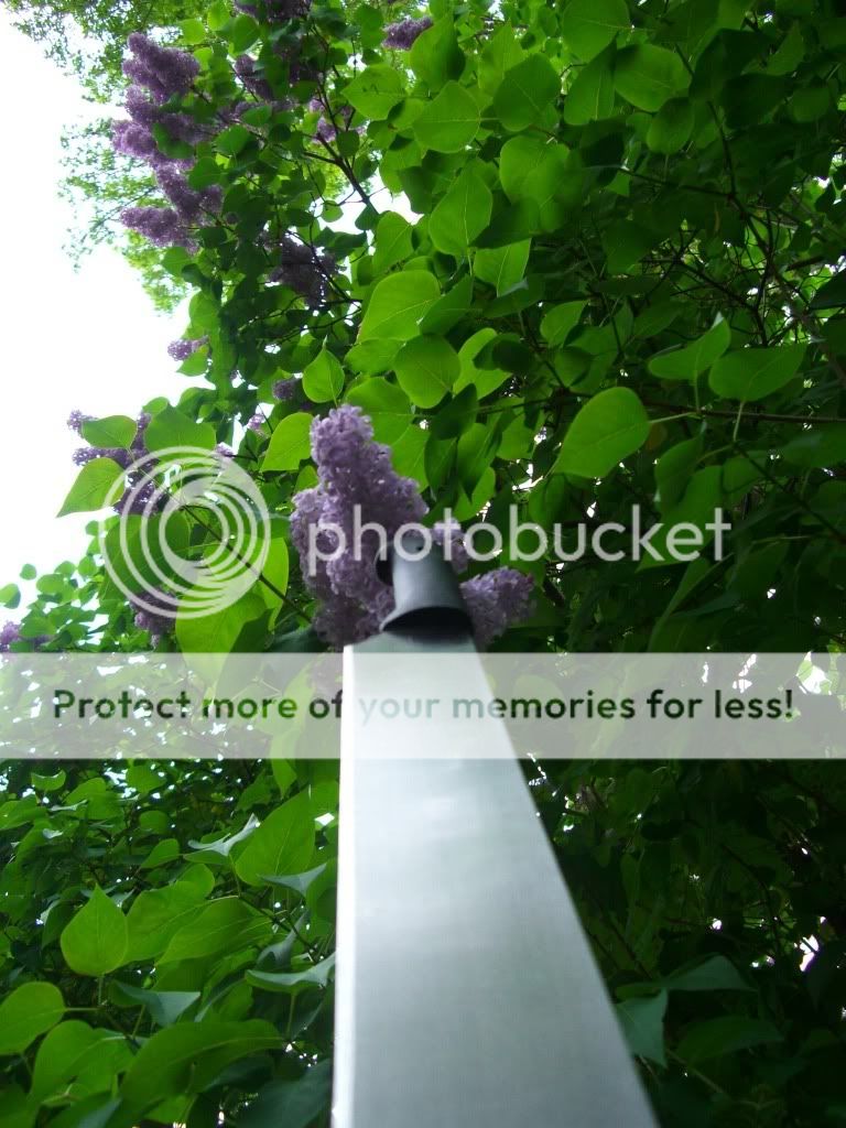 Modified Imacasa Cuma Machete | BladeForums.com